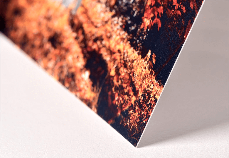 Create Greeting Cards Online | Photobook New Zealand