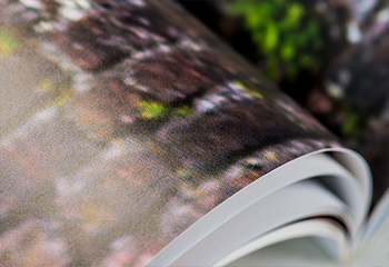 Custom Photo Albums | Personalised Photo books Online India